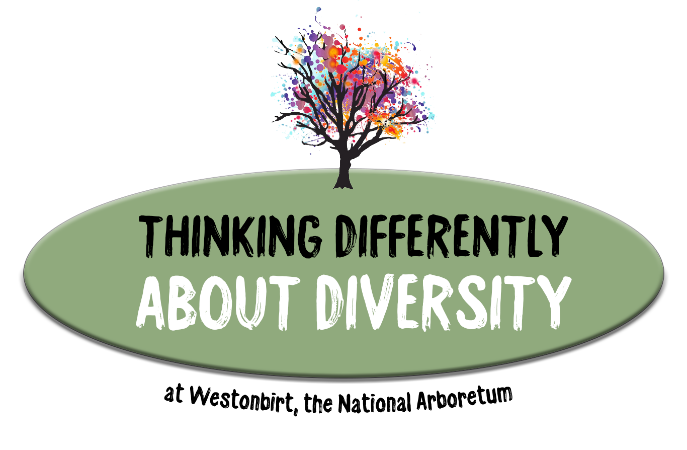 What is Thinking Differently About Diversity?